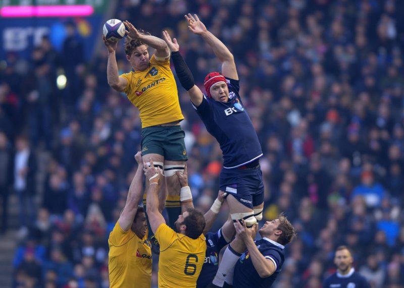 Scotland vs Australia: Player Ratings - Scottish Rugby Blog
