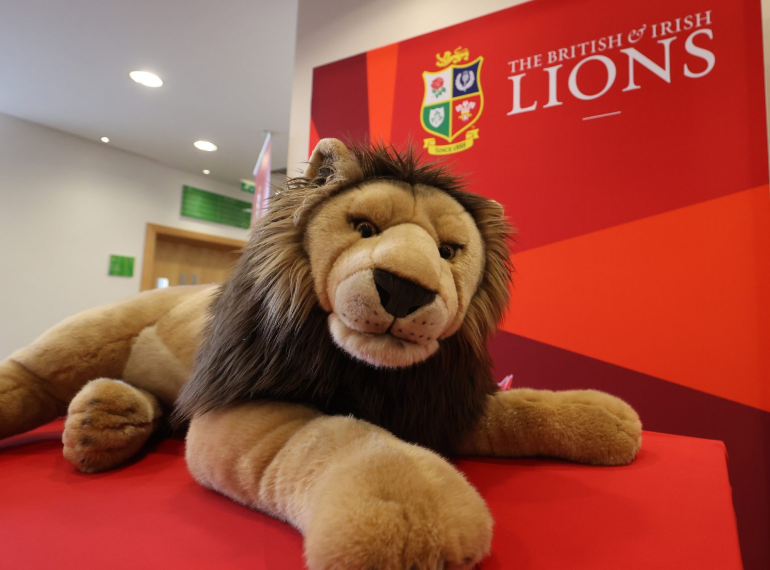 The Scottish Eight and the Lions - forwards' debrief - Scottish Rugby Blog